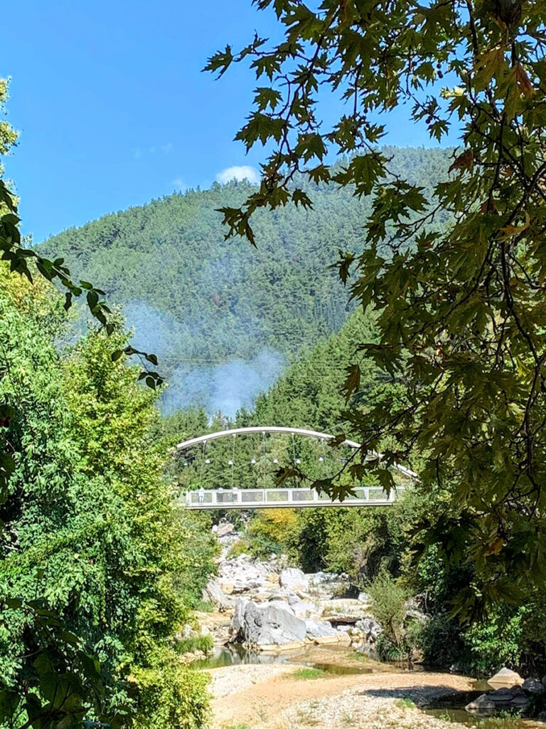 ΕΚΤΑΚΤΟ-Φωτιά ξέσπασε στη Ξάνθη στο ποταμό Κόσυνθο. – Xanthi Daily